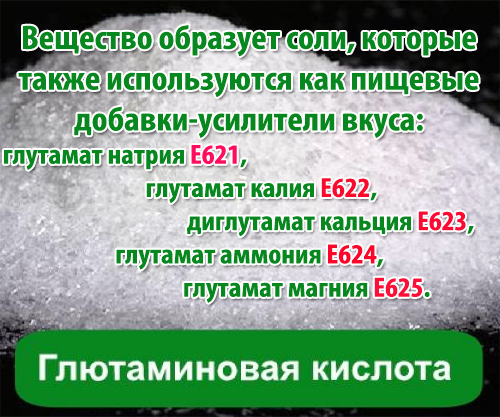 E620 Глутаминовая кислота - действие на здоровье, польза и вред ...