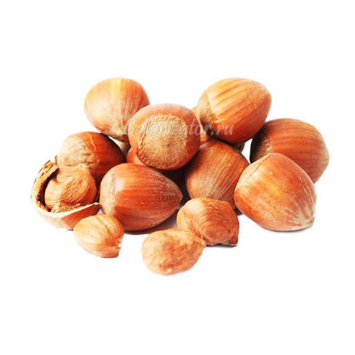 Фундук - калорийность, полезные свойства, польза и вред, описание - www ...